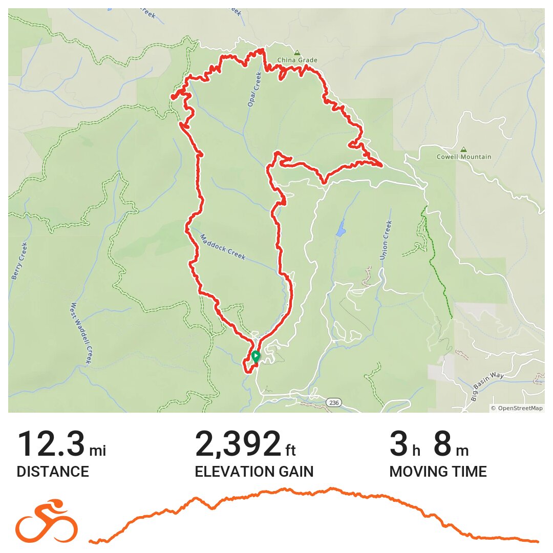 Basin Trail hike in Big Basin State Park. · Ride with GPS